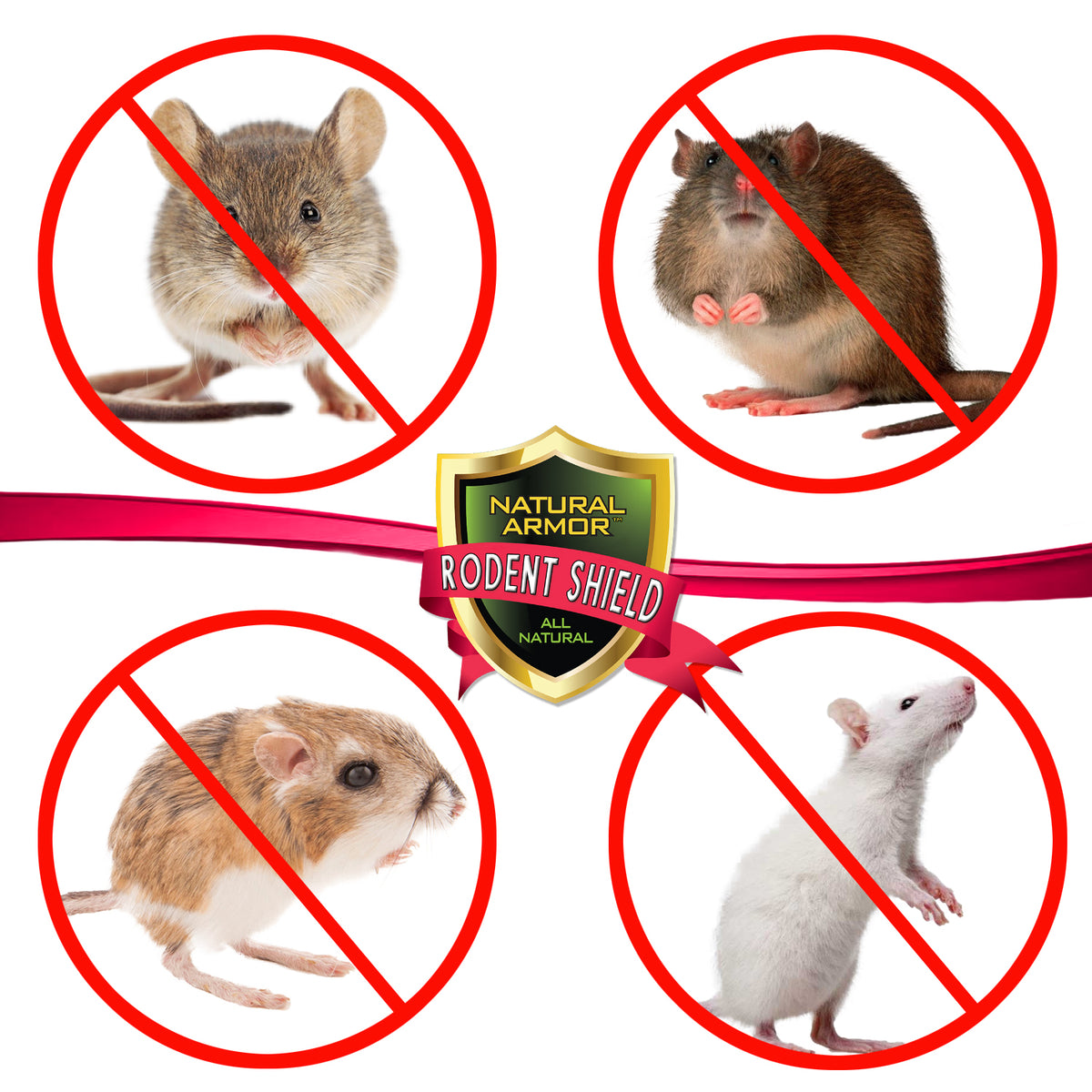 Rodent Shield - 2.5 GALLON (320oz) – Natural Armor