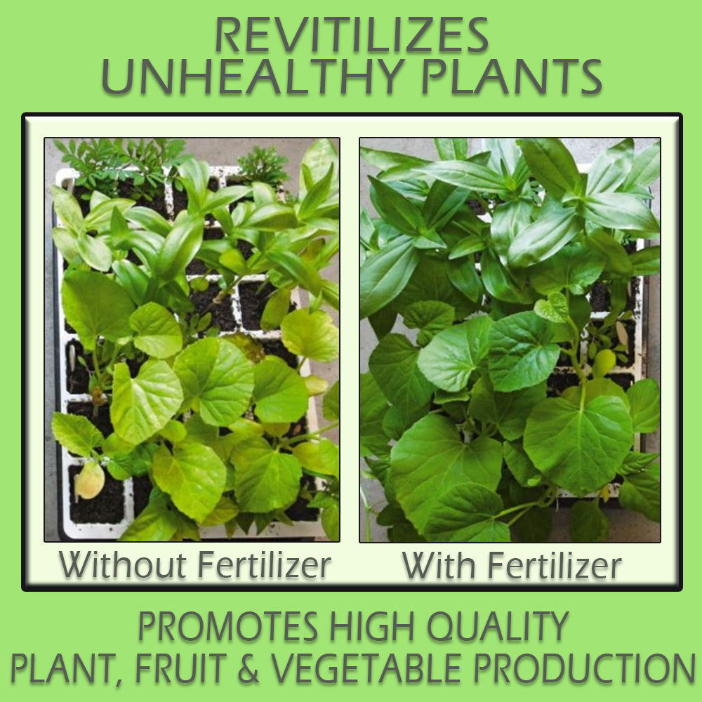 CONCENTRATE All-Purpose Fertilizer GALLON – Natural Armor