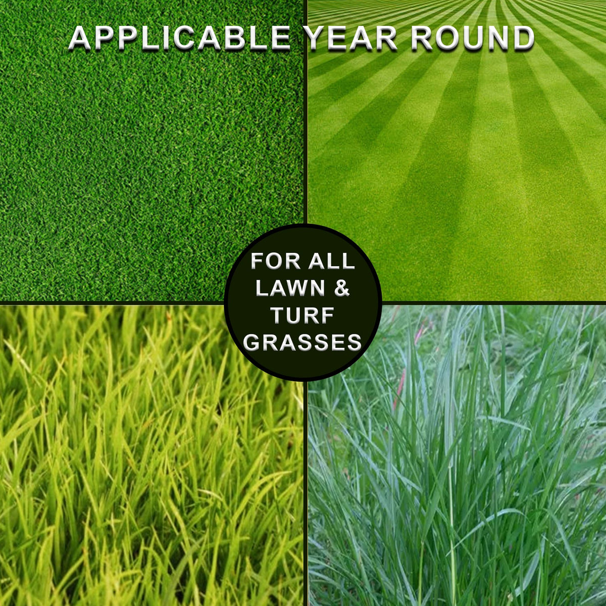 CONCENTRATE Lawn Fertilizer Grass & Turf Builder 2.5 GALLON – Natural Armor