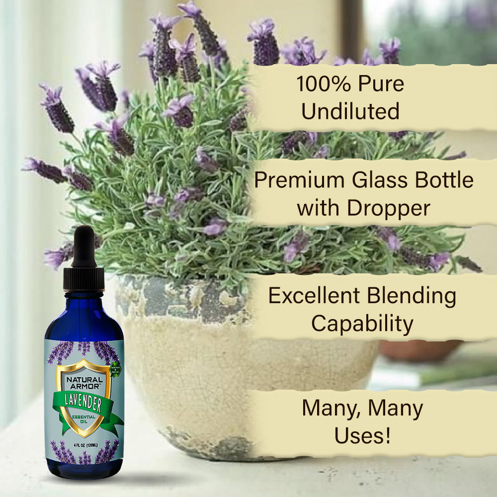 Lavender Essential Oil – Natural Armor
