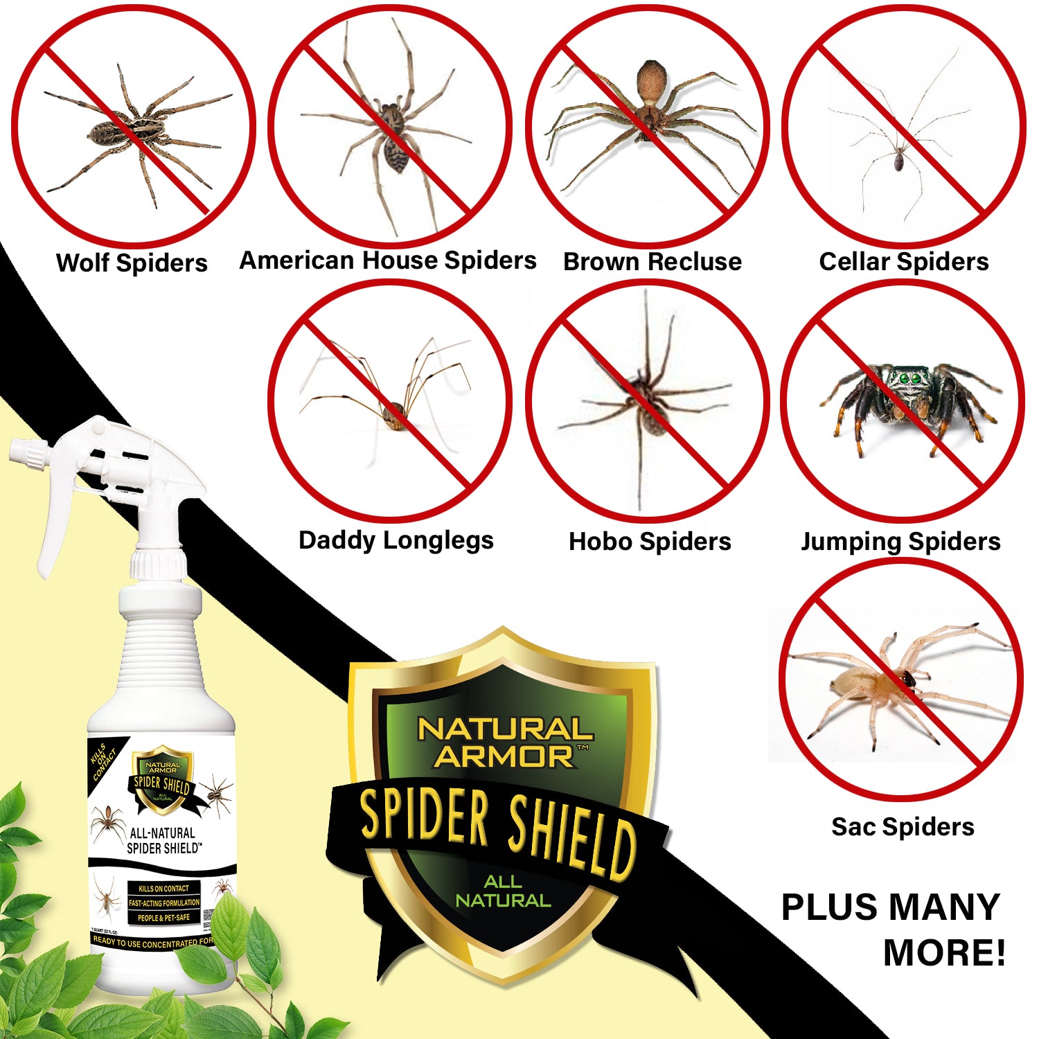 Spider Shield - GALLON (128 oz) – Natural Armor